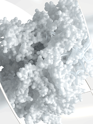 Pfizer: One of the world's premier biopharmaceutical companies