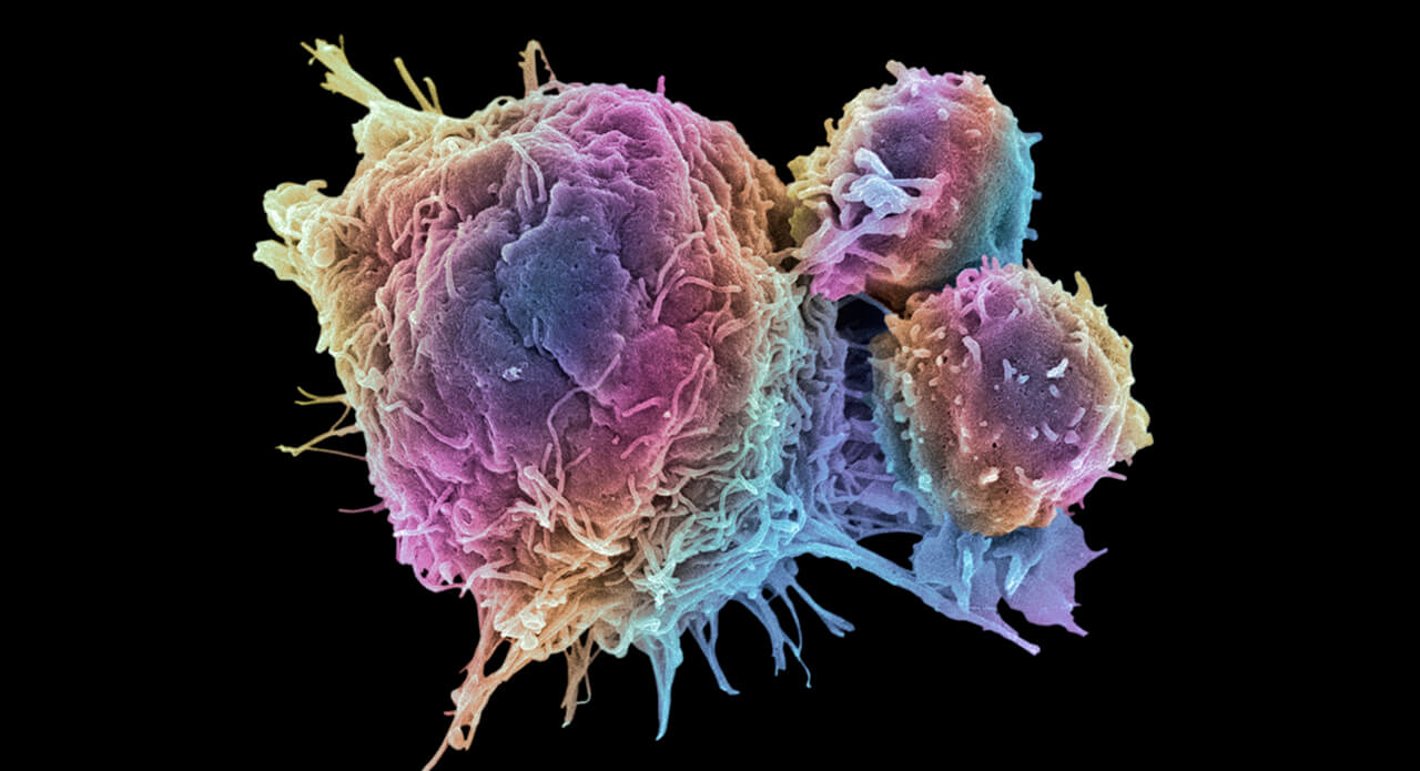 The Winding Road to Discovery: How Unexpected Data Led to Novel ...