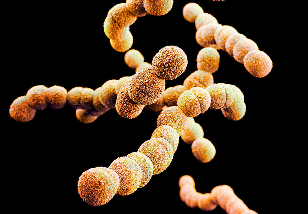 Group B Strep: A Dangerous Infection in Infants and Adults | Pfizer