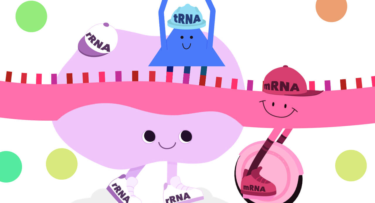 The Rise of RNA: The Cellular Workhorse Behind a New Class of Next-Gen ...